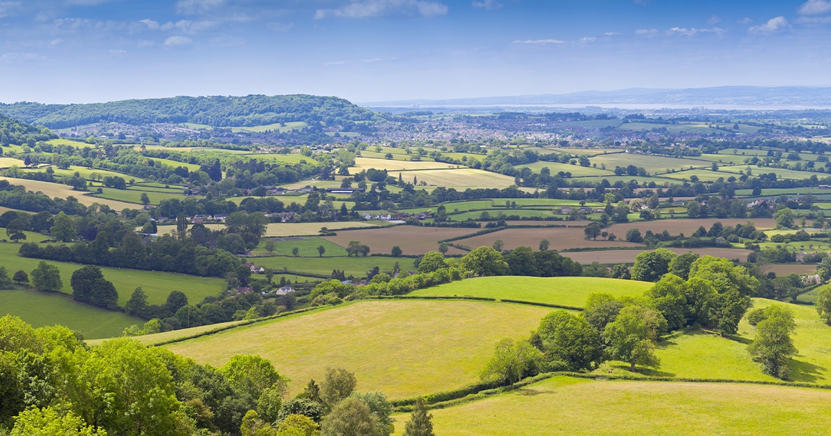 Agricultural tenancy reform update - Moore Barlow LLP