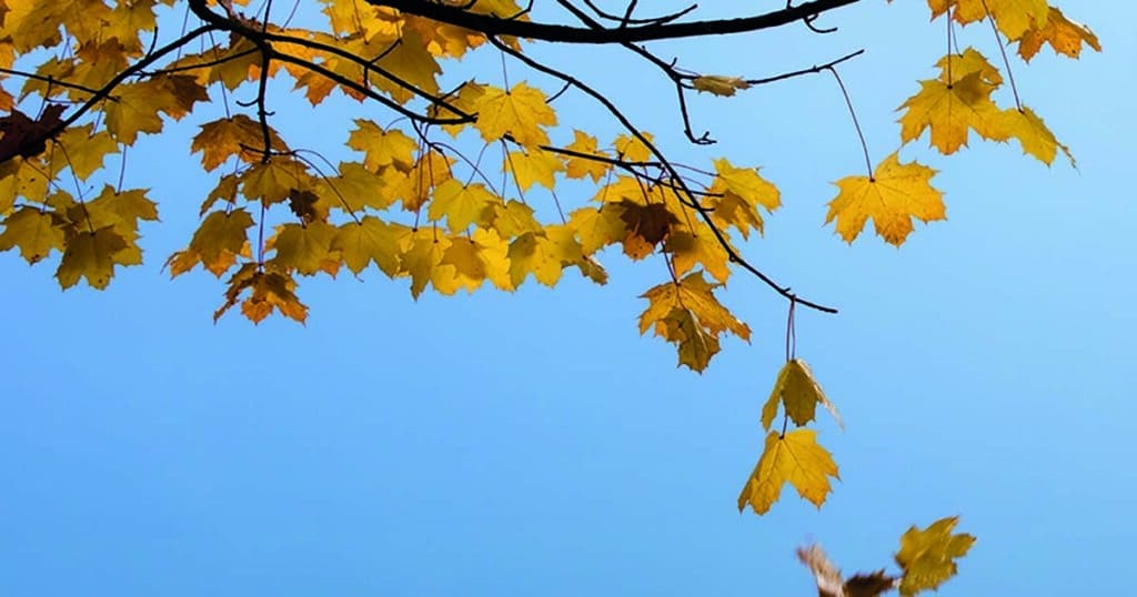 Moore Barlow commended as a top law firm for high-net-worth individuals ...