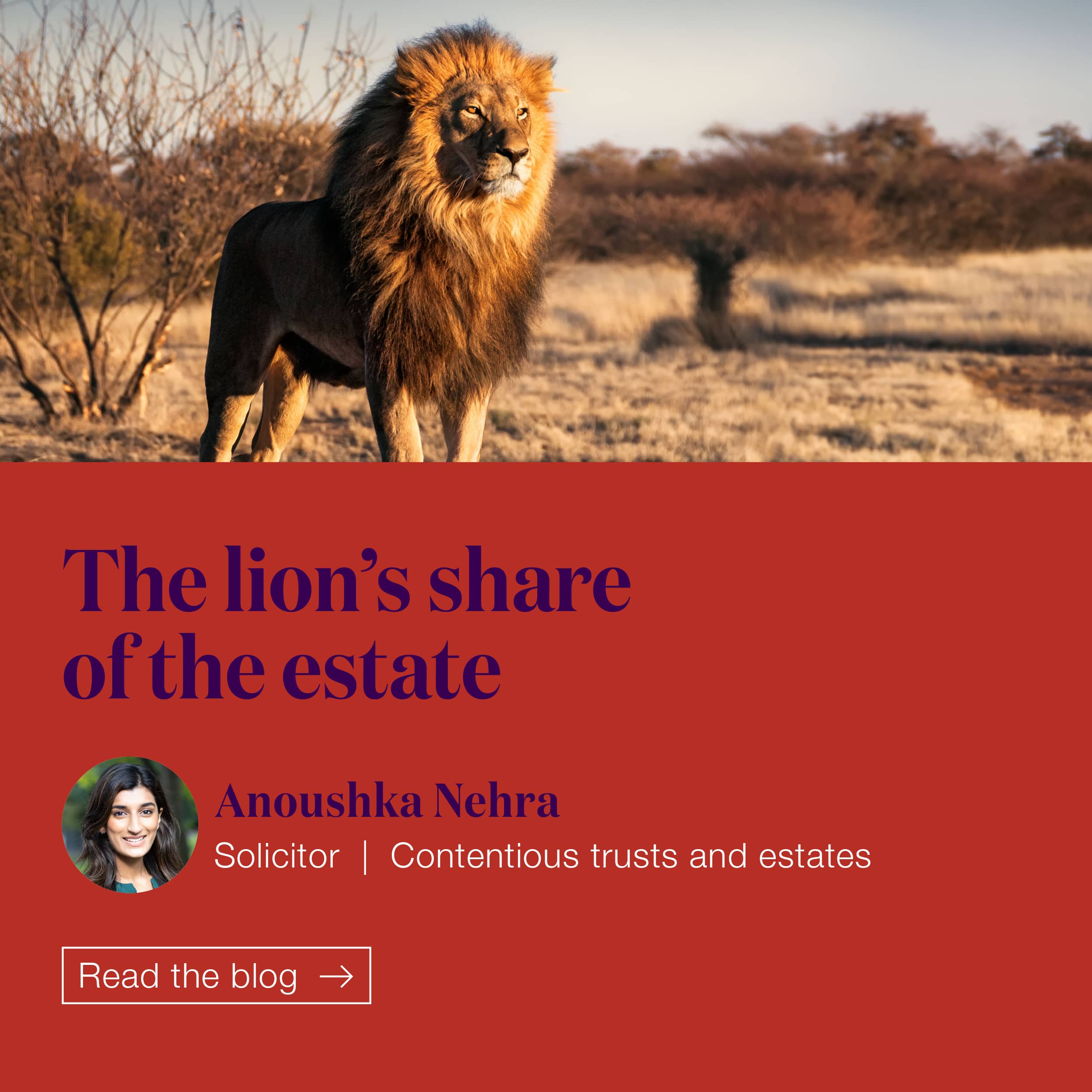 Rules of Intestacy: The lion’s share of the estate - Moore Barlow LLP