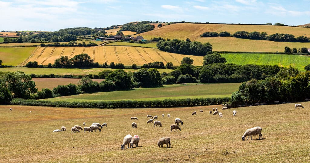 Assured Agricultural Occupancy - Moore Barlow LLP