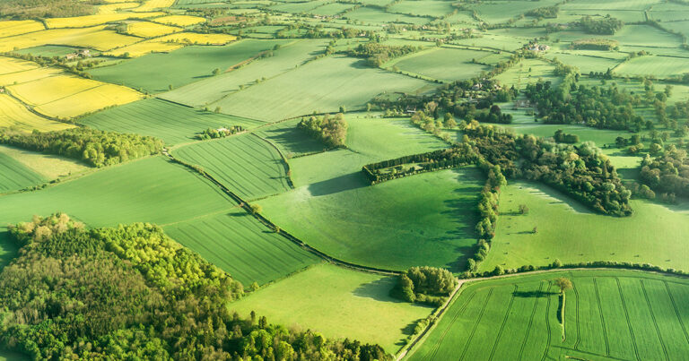 Assured Agricultural Occupancy - Moore Barlow LLP